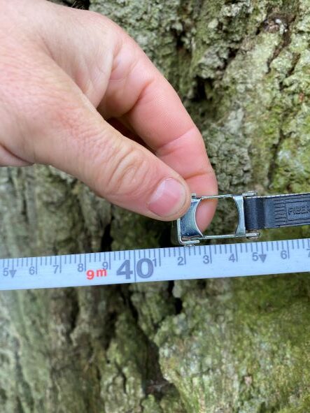 QTRA and VALID Tree Condition / Safety Surveys and Tree Risk ...