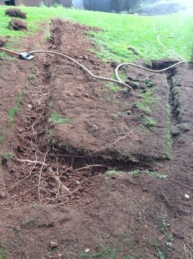Airspade Services and Tree Root Excavation - Devon Tree Consultant ...